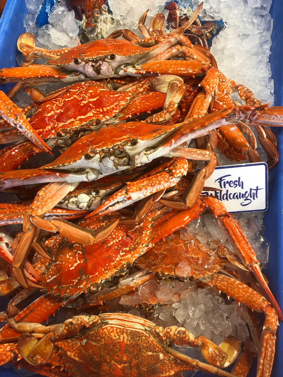 Blue Swimmer Crabs – Northern Rivers Seafood